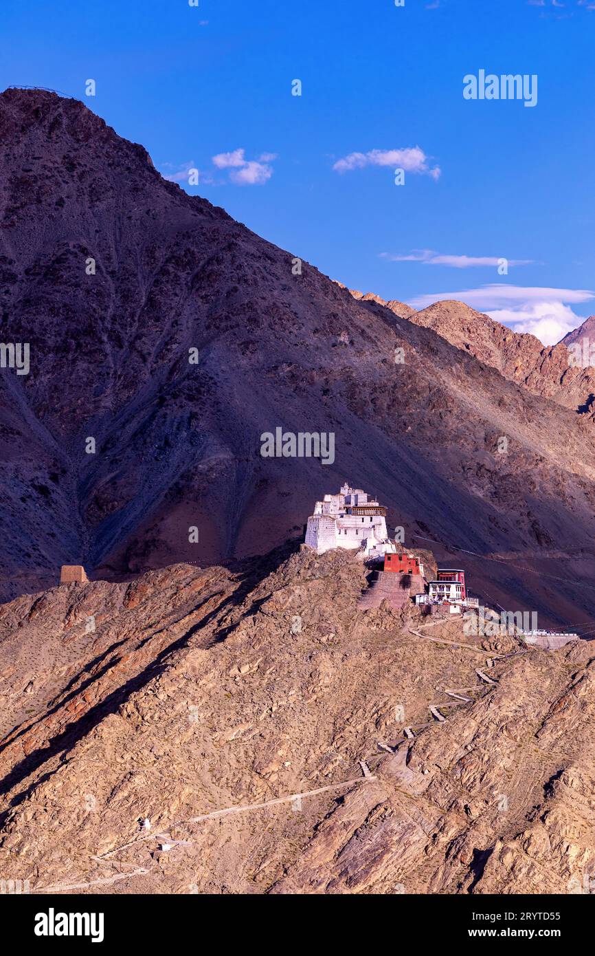 Namgyal Tsemo Gompa (Monastery), Leh, Ladakh, India Stock Photo - Alamy