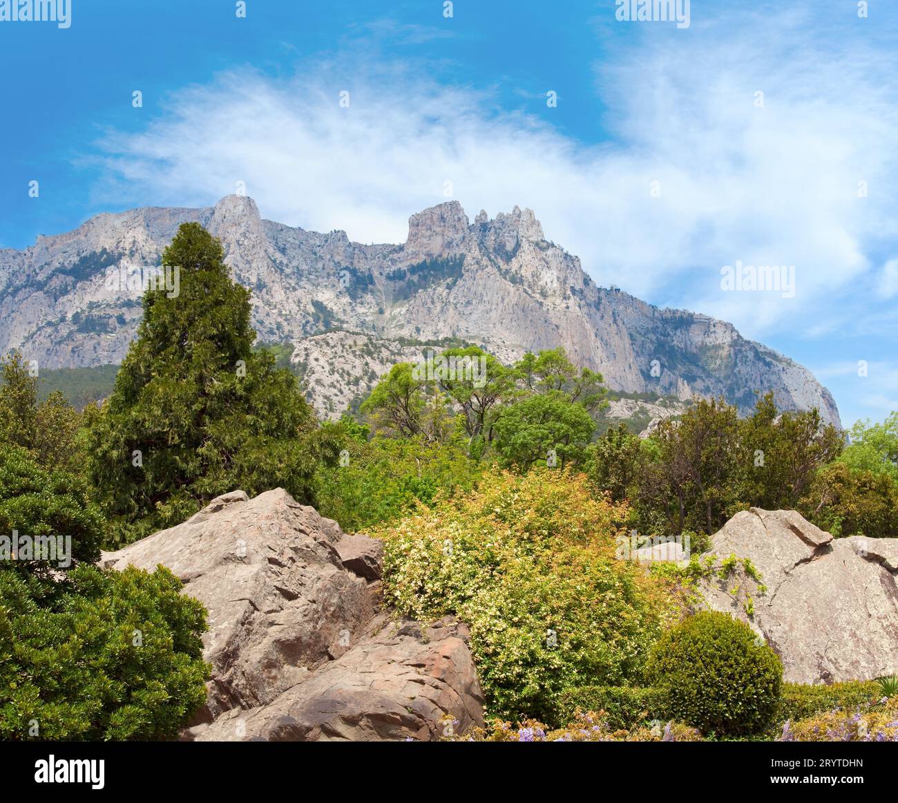 Spring mountain landscape Stock Photo - Alamy