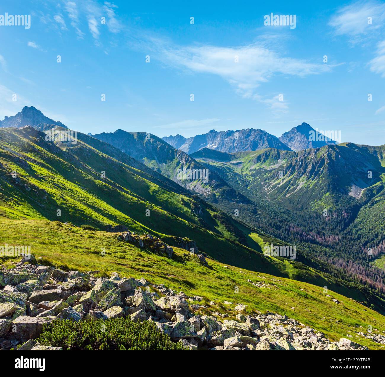 Summer Tatra Mountain, Poland Stock Photo - Alamy