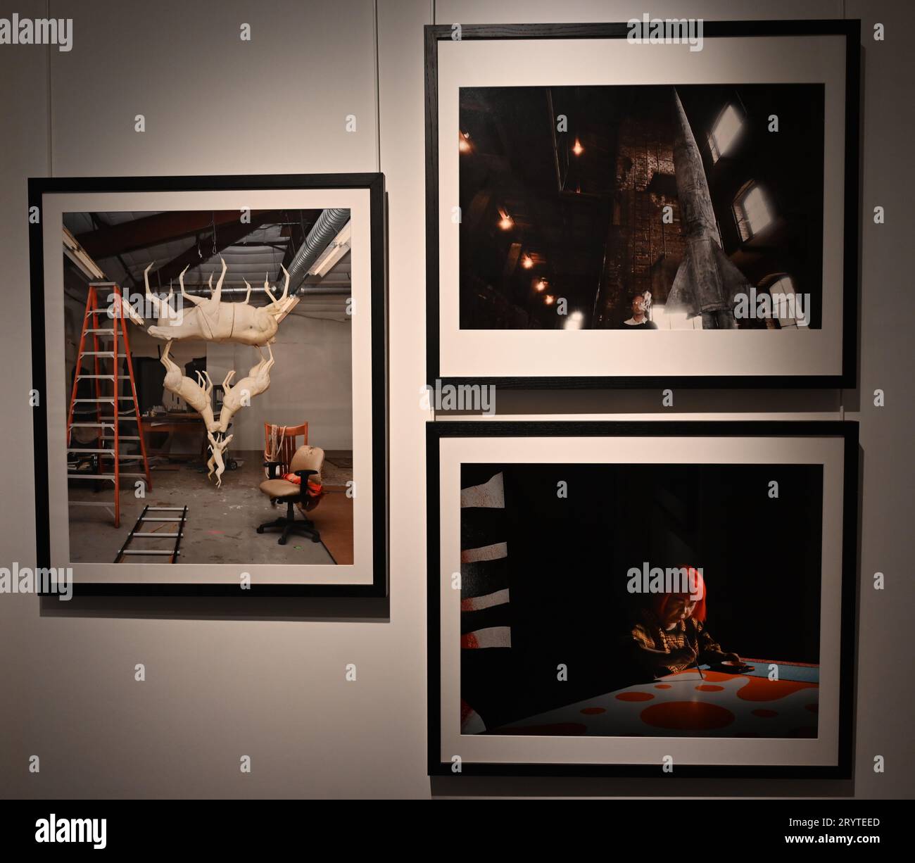 This Autumn, Pitzhanger Manor & Gallery proudly unveils an emotionally ...