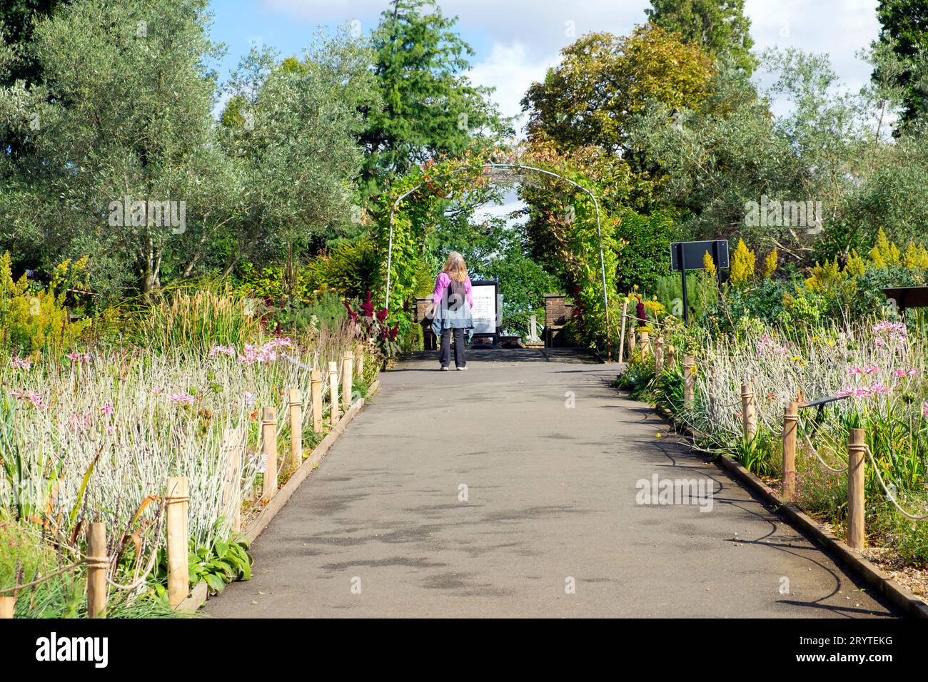 Woman visitor reading information panel under arch at the Horniman ...
