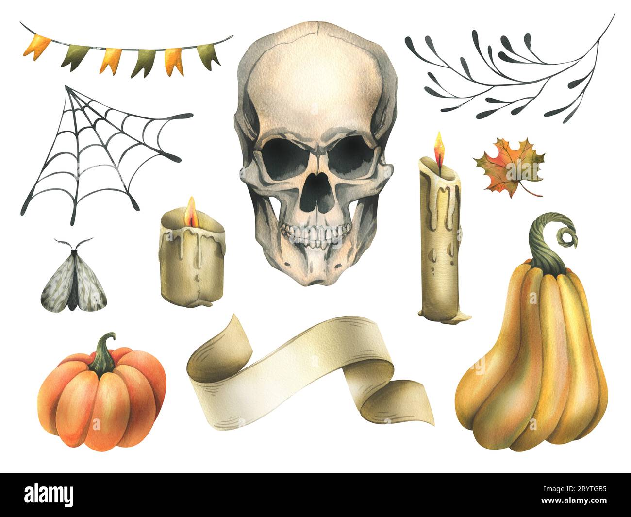 Human skull with orange pumpkins, cobweb, flags, candles and branches ...