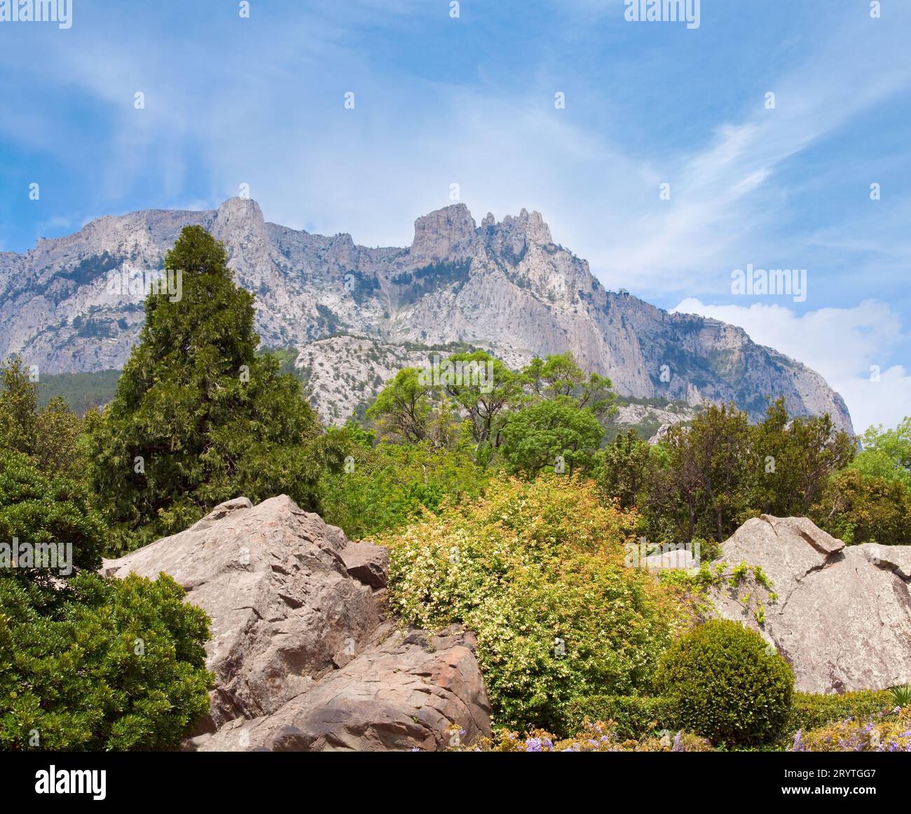 Spring mountain landscape Stock Photo - Alamy