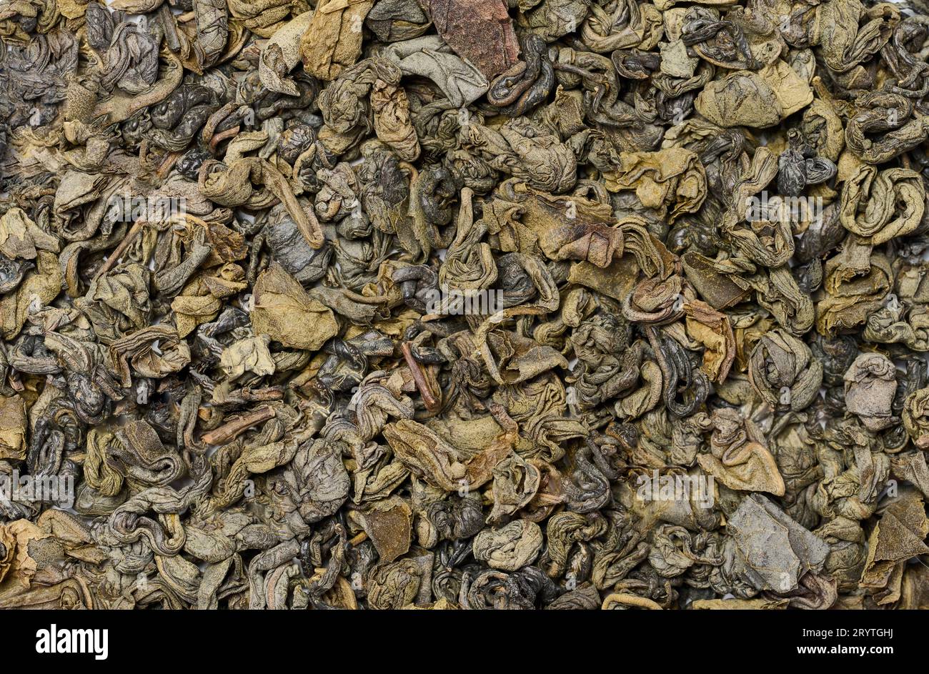 Twisted dry green tea leaves, healthy drink, full frame Stock Photo - Alamy