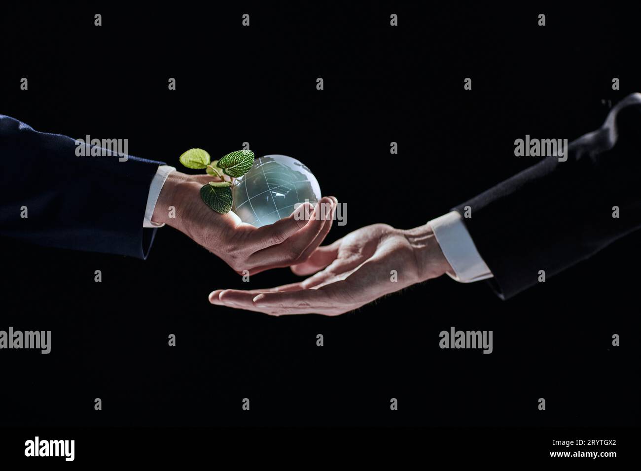 Plabt Growing inside a Sphere - Hand Holding - Eco Concept Stock Photo ...