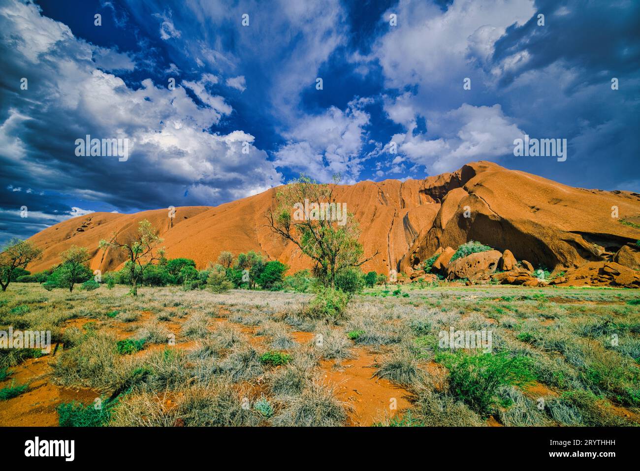 A scenic view of a barren desert landscape with green shrubs Stock ...