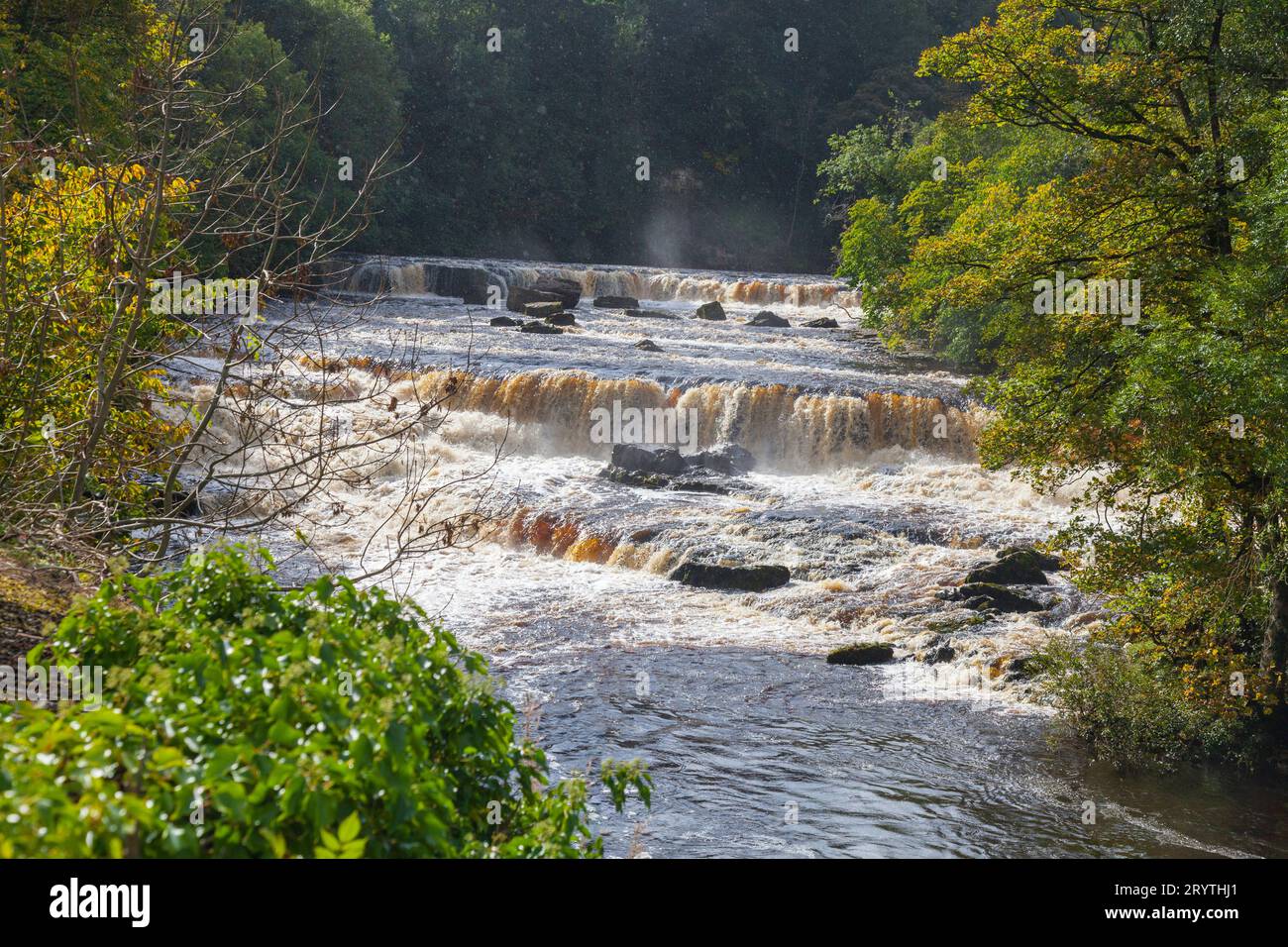Aysgarth Falls on the River Ure in the Yorkshire Dales National Park ...