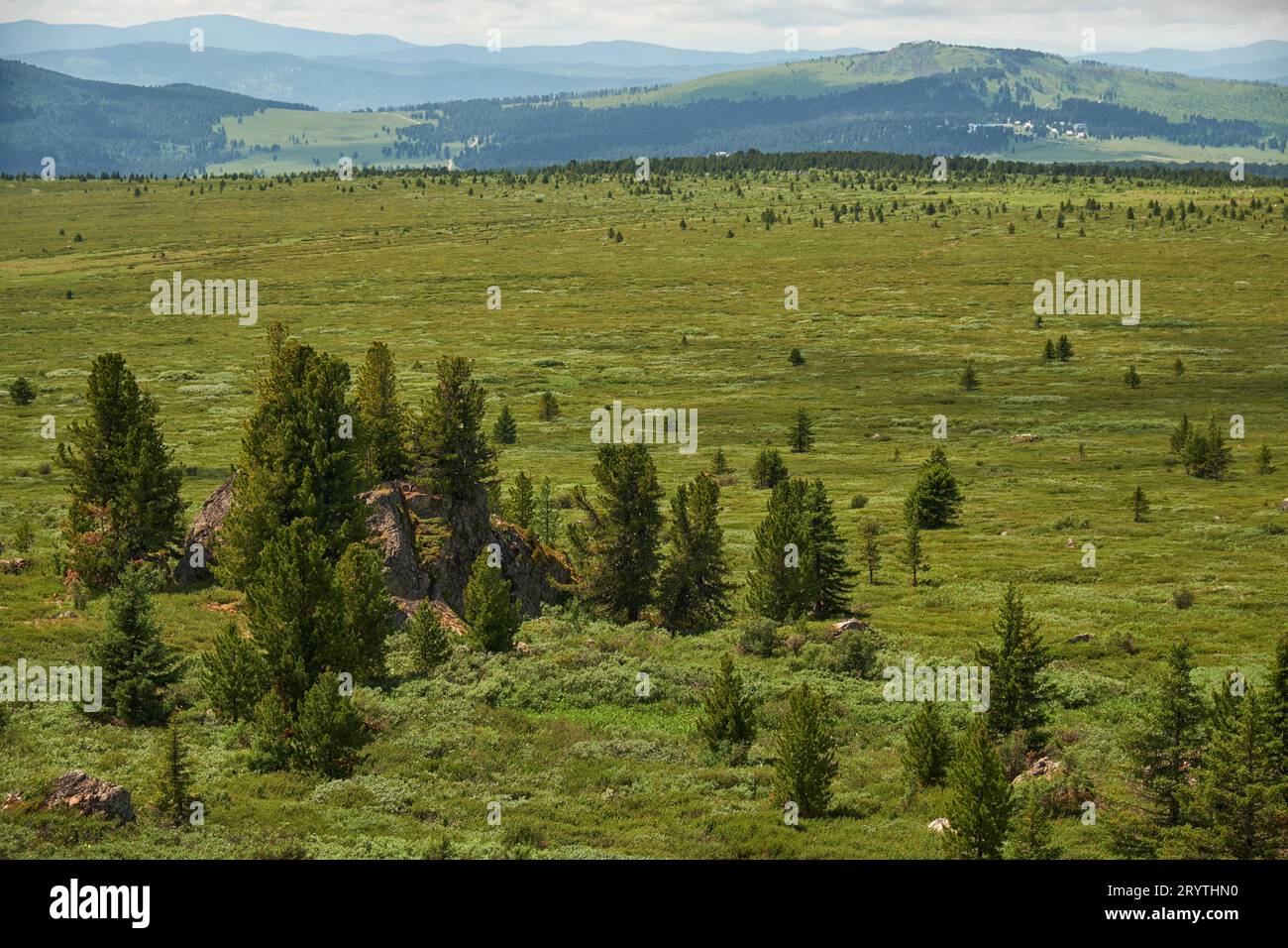 Stones on the mountainside. Seminsky mountain range in Altai Stock ...