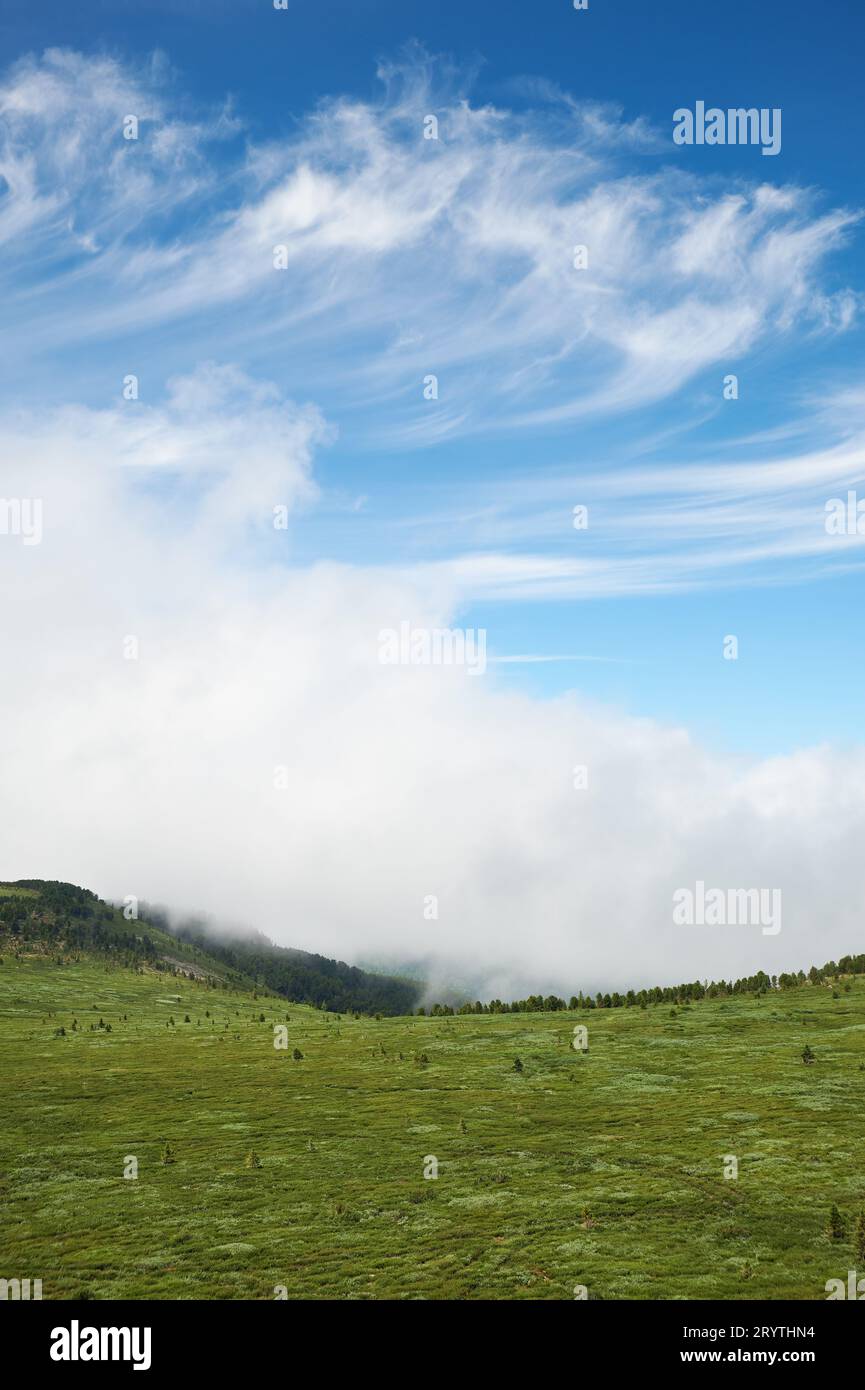 Seminsky hi-res stock photography and images - Alamy