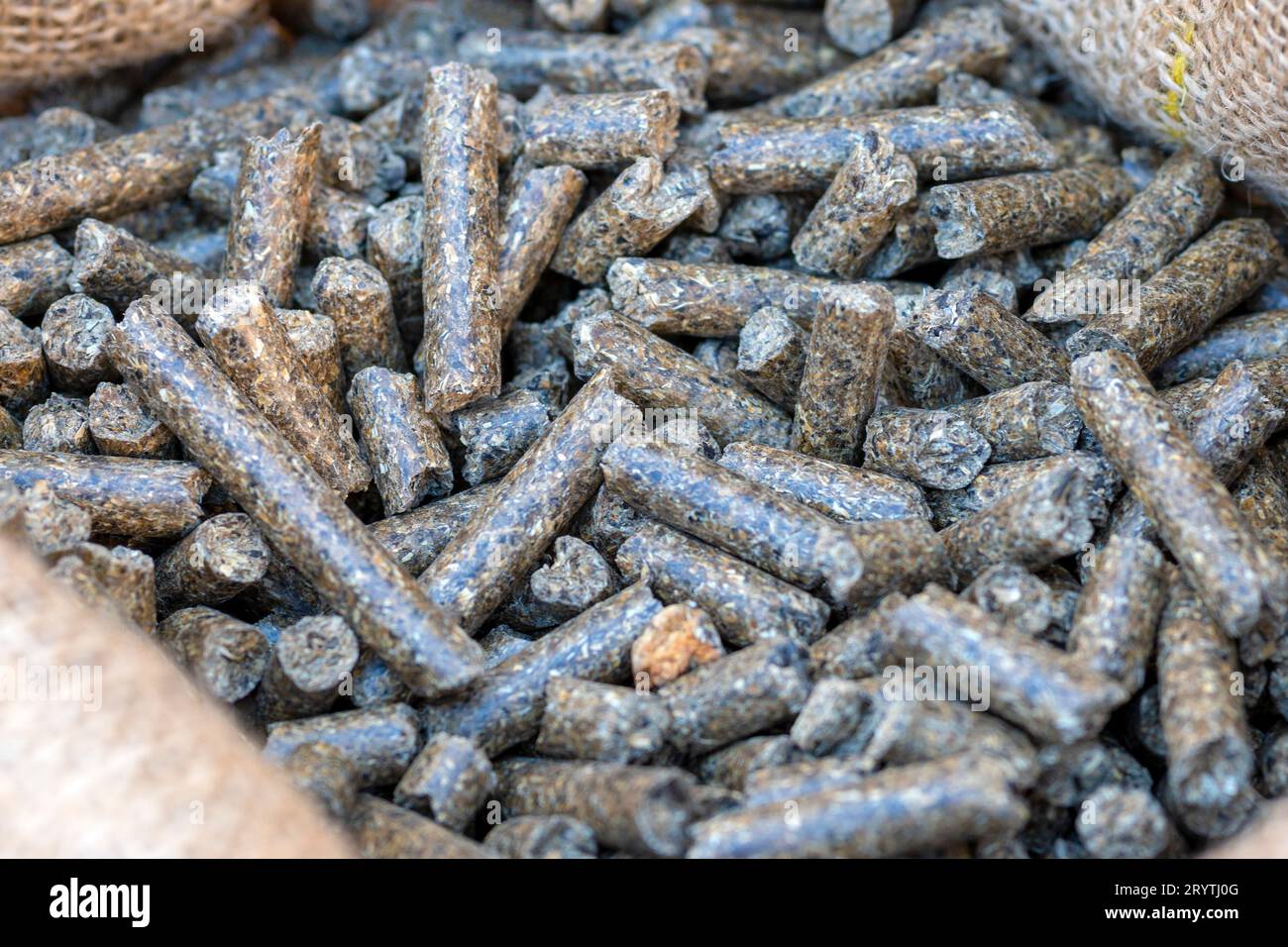Pellet Production, wood-pellet. Alternative fuel source. Concept ...