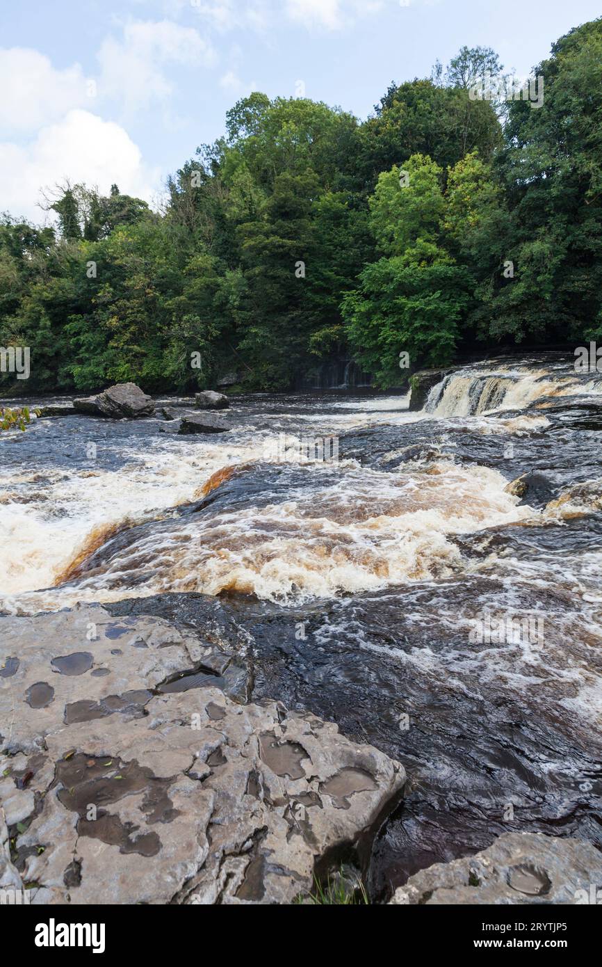 Aysgarth Falls on the River Ure in the Yorkshire Dales National Park ...