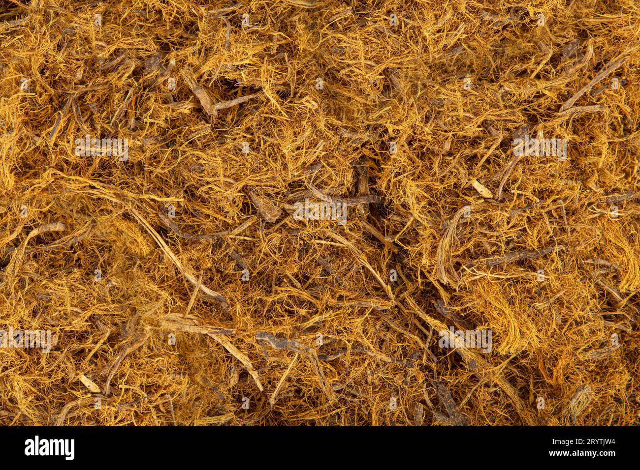 Licorice root and fiber textured background ( glycyrrhiza glabra ...