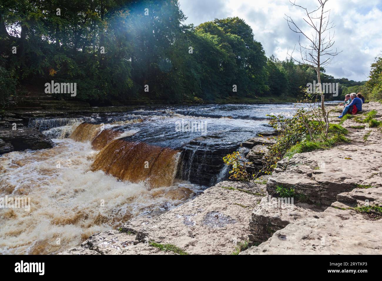 Aysgarth Falls on the River Ure in the Yorkshire Dales National Park ...