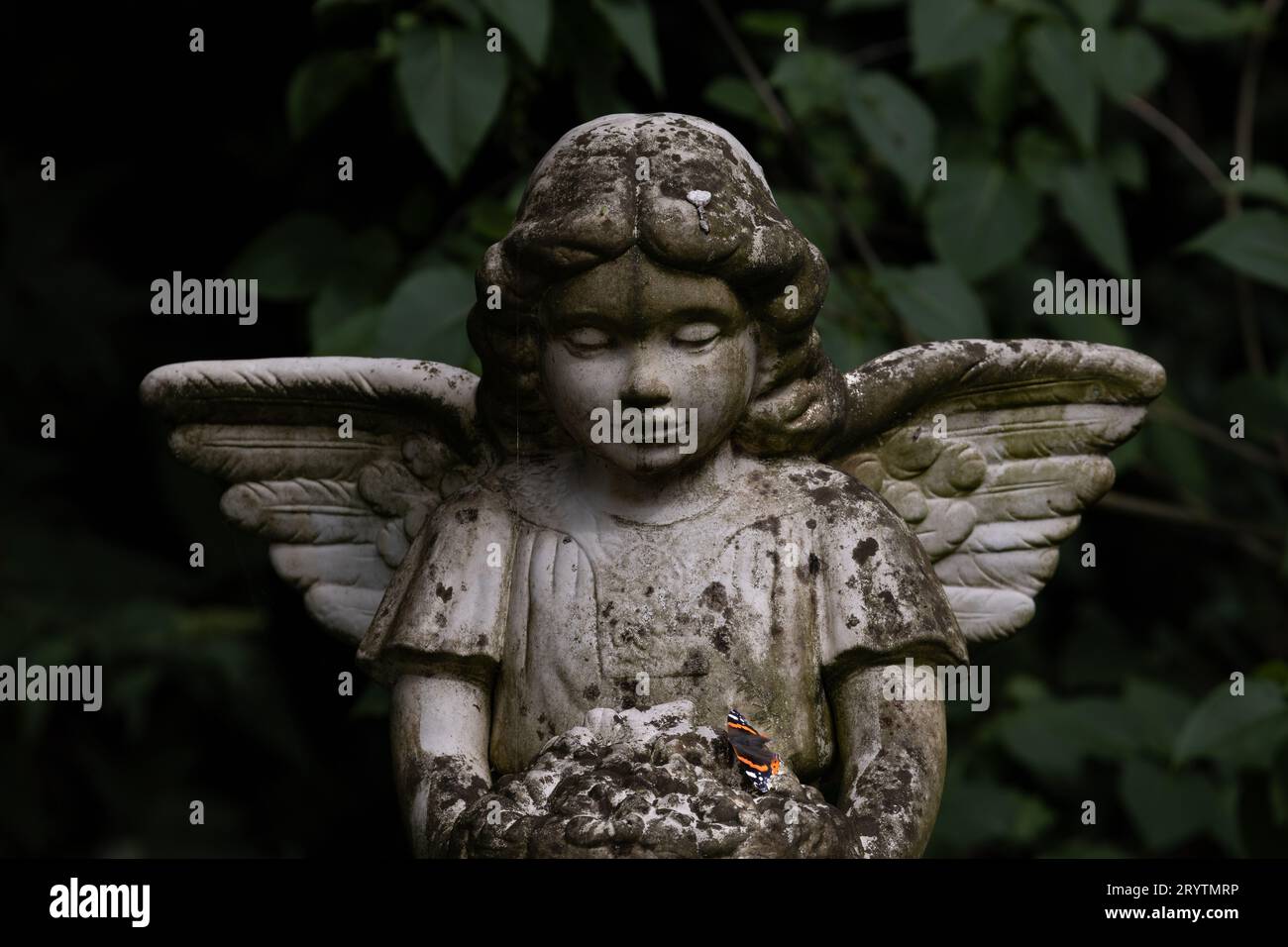 A stone statue of a winged angel Stock Photo - Alamy