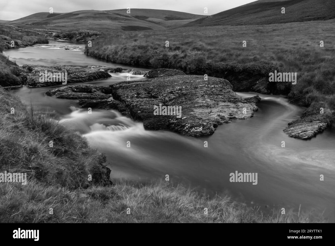 Elan background Black and White Stock Photos & Images - Alamy