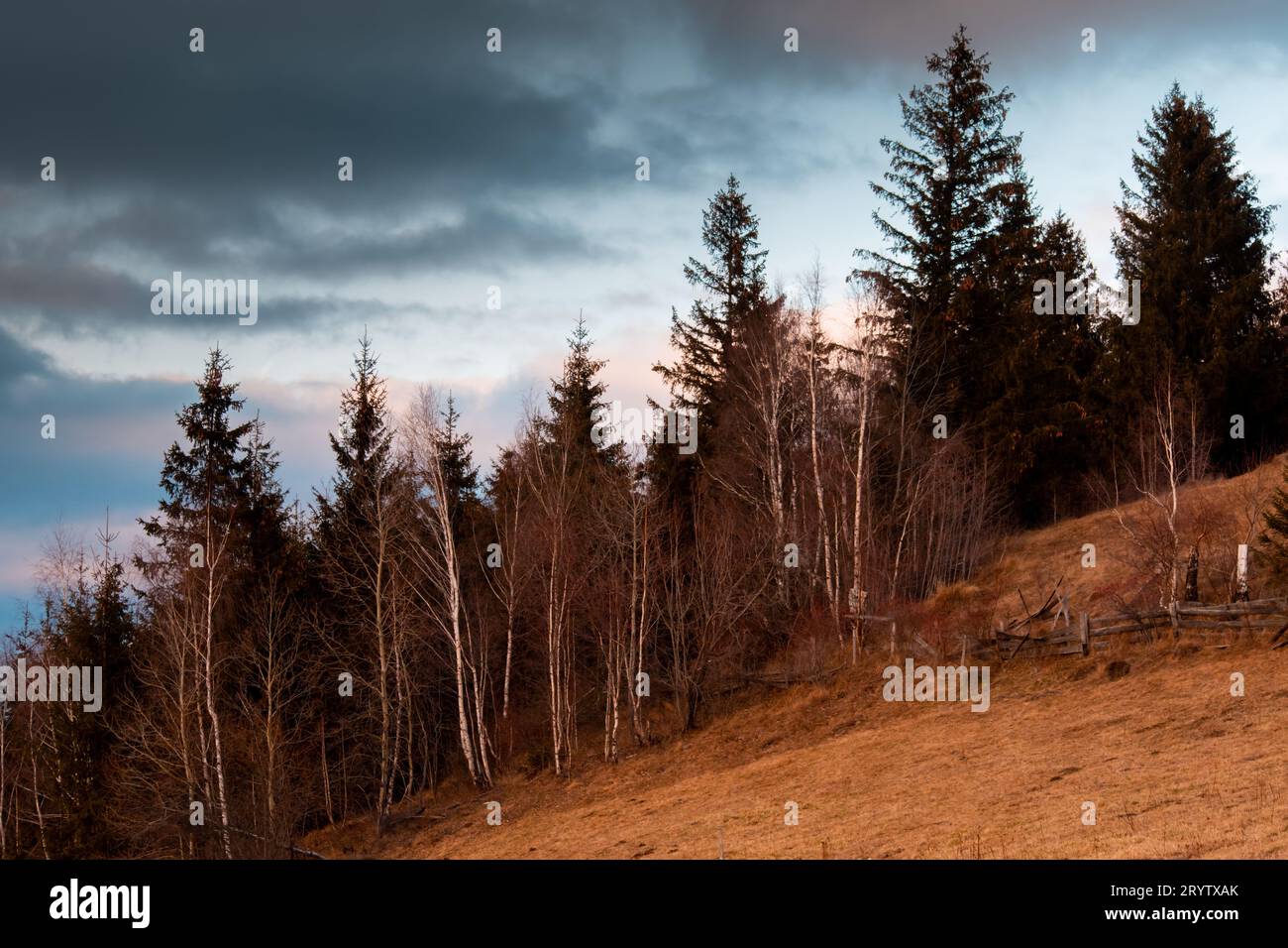 An aerial view of a Dark and moody autumn isolated landscapes in ...