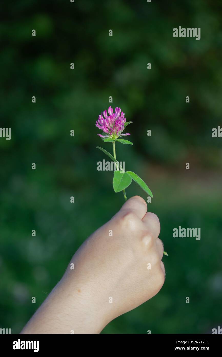 Human connection with nature hi-res stock photography and images - Alamy