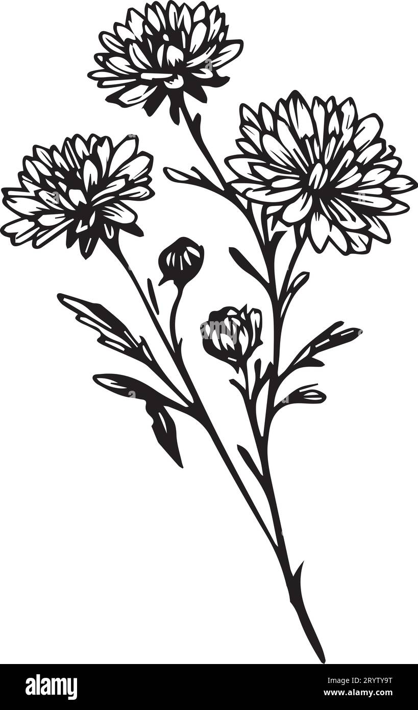 Simple flower coloring pages Cut Out Stock Images & Pictures - Alamy