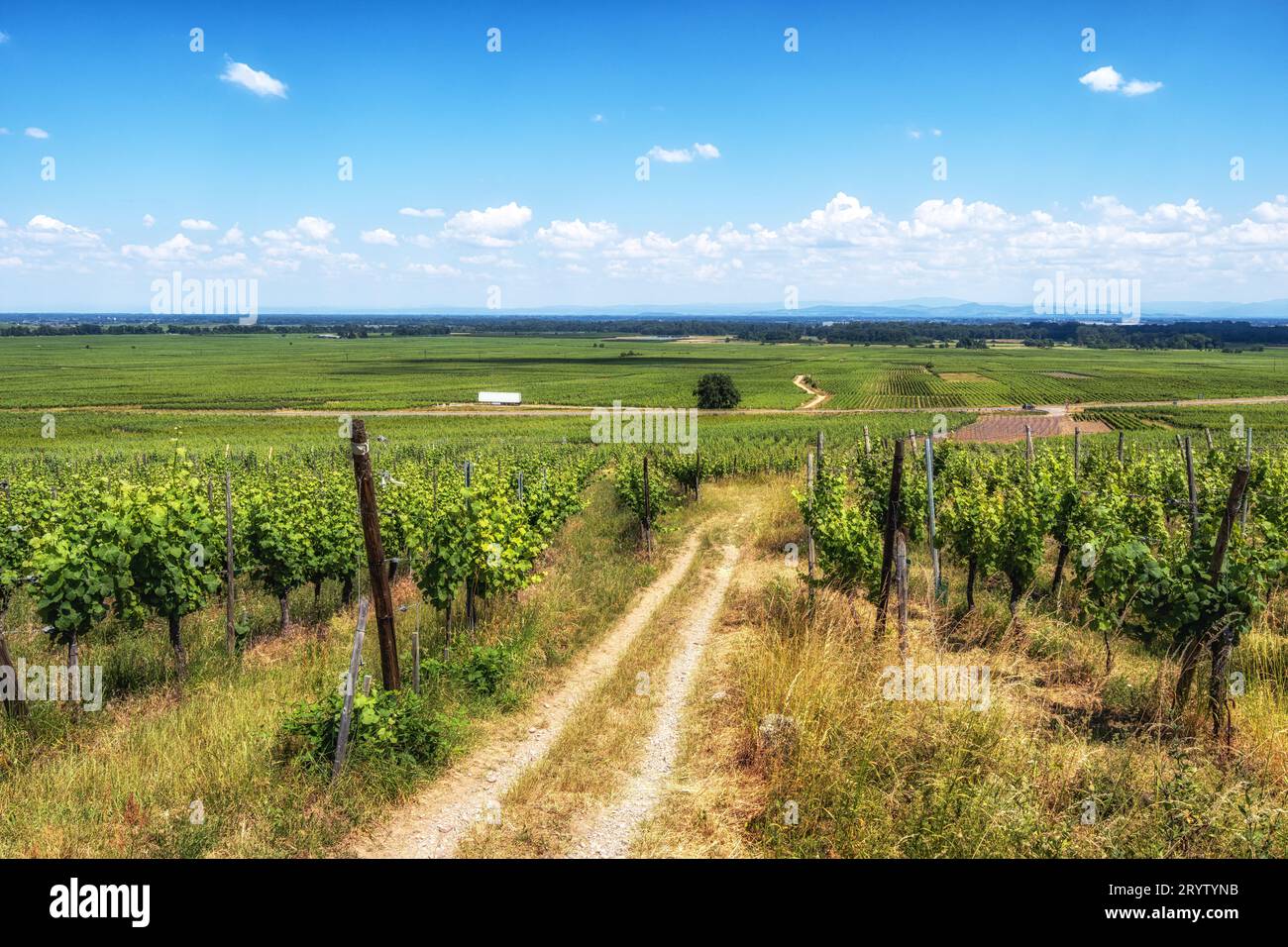 Alsace wine route Stock Photo - Alamy