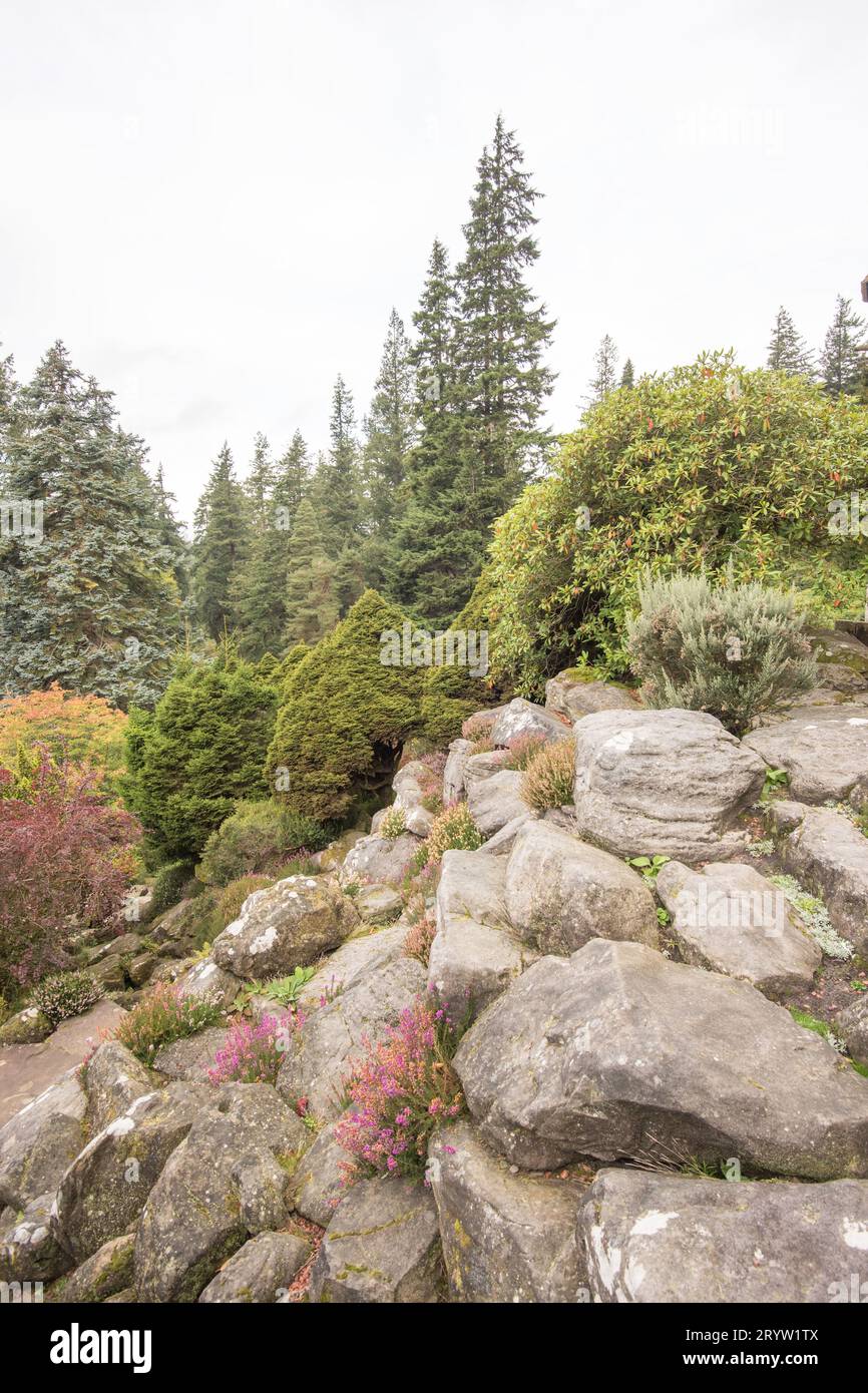 The rock garden falls immediately behind Cragside House, Northumberland ...