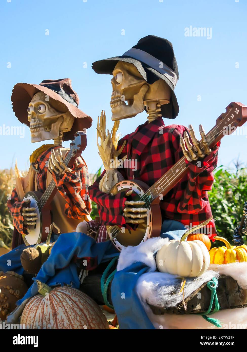 Welcome to the scarecrows hi-res stock photography and images - Alamy