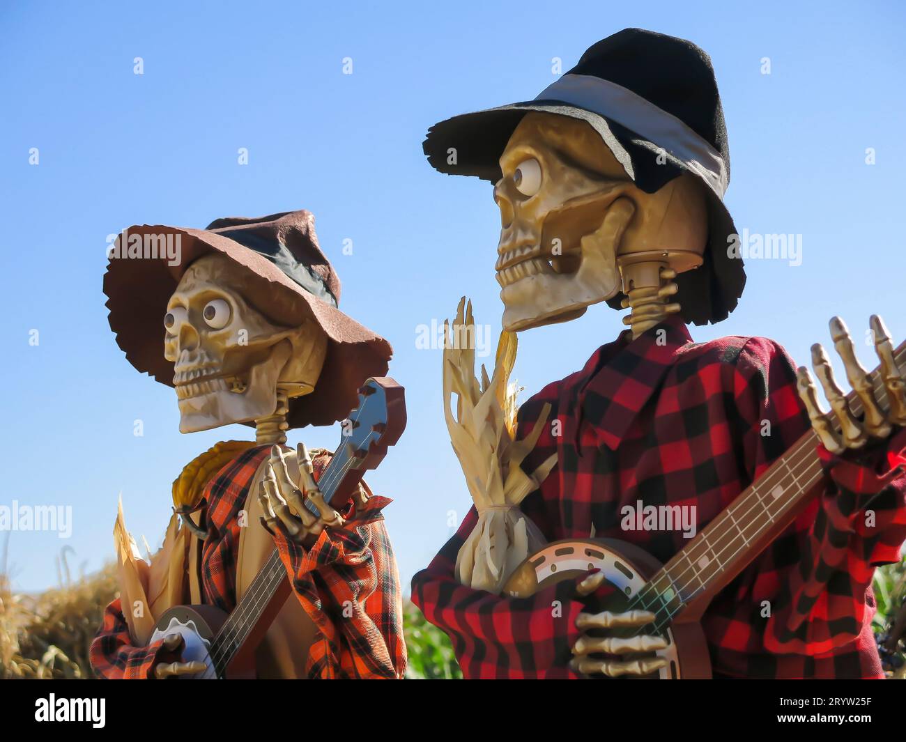Welcome to the scarecrows hi-res stock photography and images - Alamy