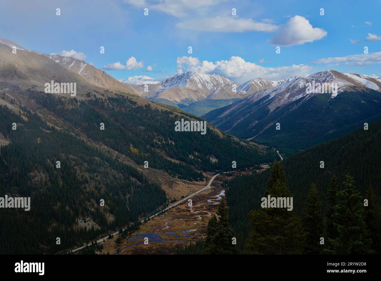 An idyllic landscape featuring rolling hills of lush green evergreen ...