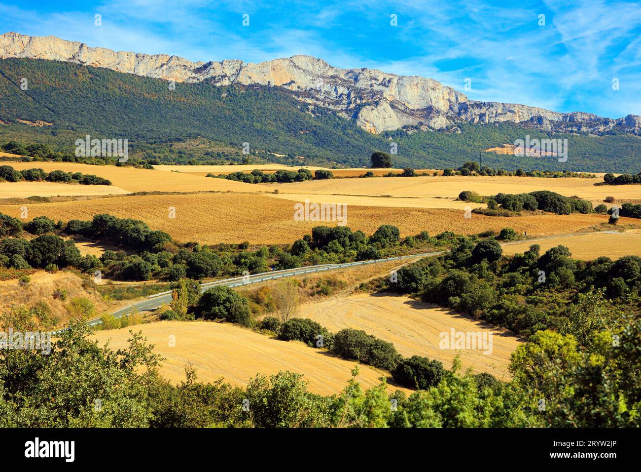 Lush colors hi-res stock photography and images - Alamy