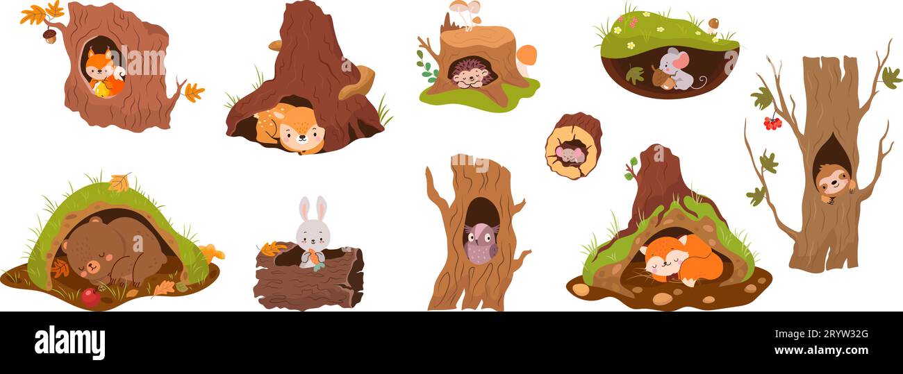 Forest animals inside holes and burrows. Tree burrow and hole in earth. Bear hibernation, mouse ...