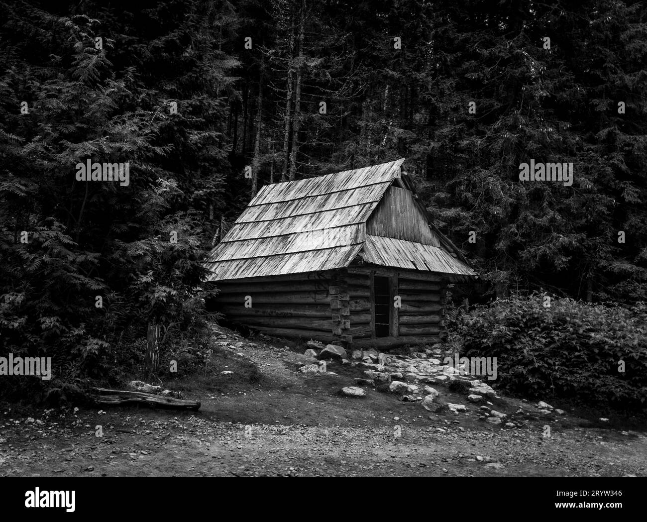 A wooden hut isolated in a forest, in grayscale Stock Photo - Alamy