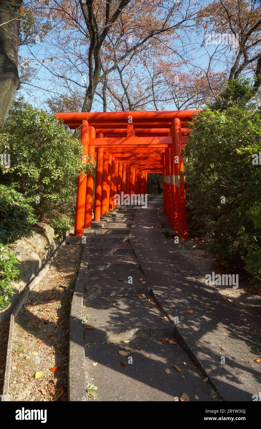Red tori gates at Nagoya Branch of Chiyo Inari Shrine. Nagoya. Japan ...