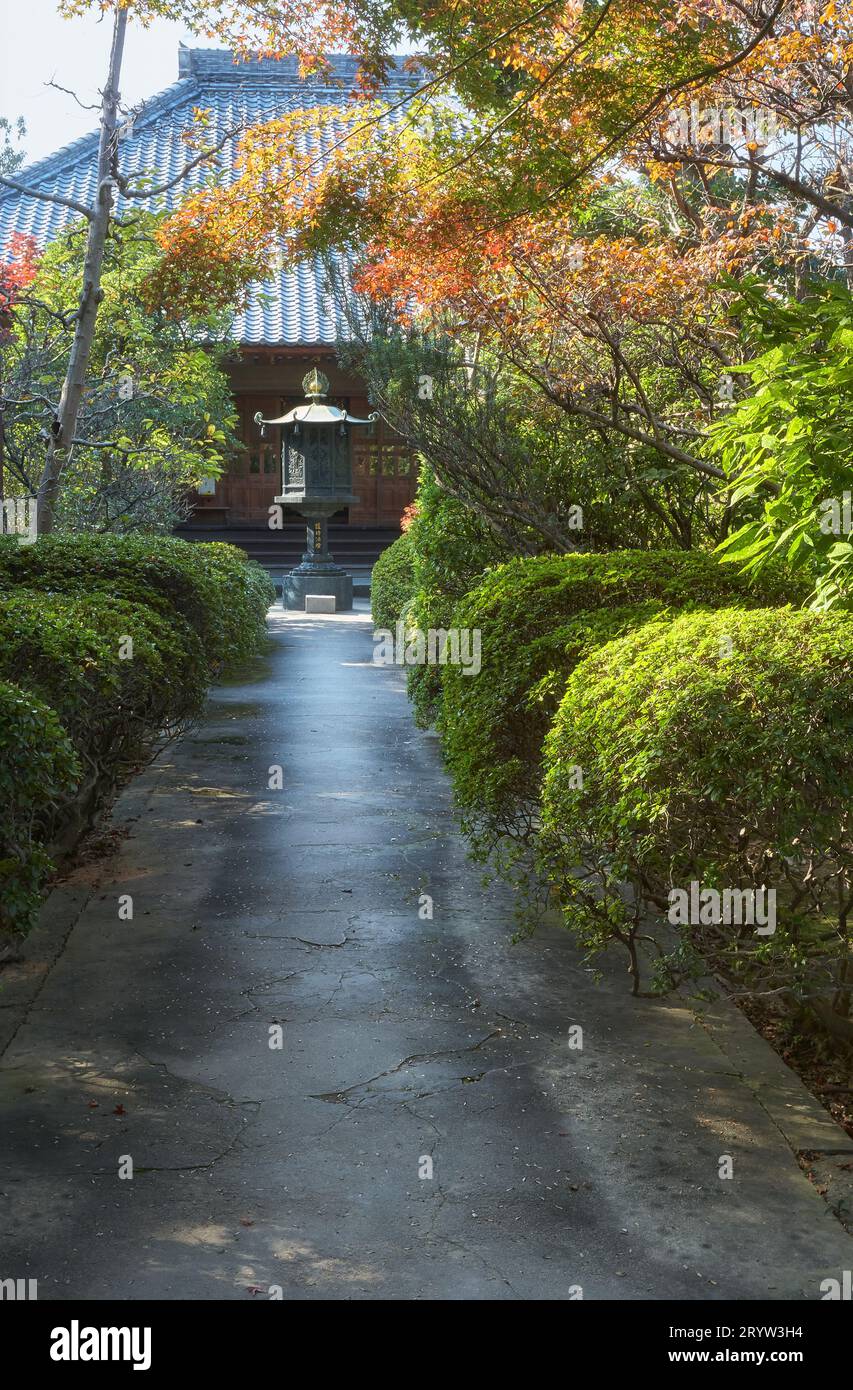 Togan ji hi-res stock photography and images - Alamy