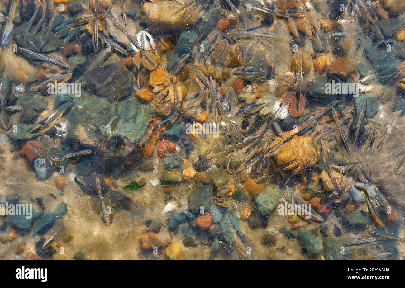 Pebble stones in water under ice Stock Photo - Alamy