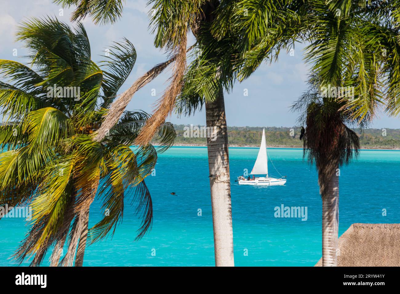 Laguna de bacalar hi-res stock photography and images - Alamy