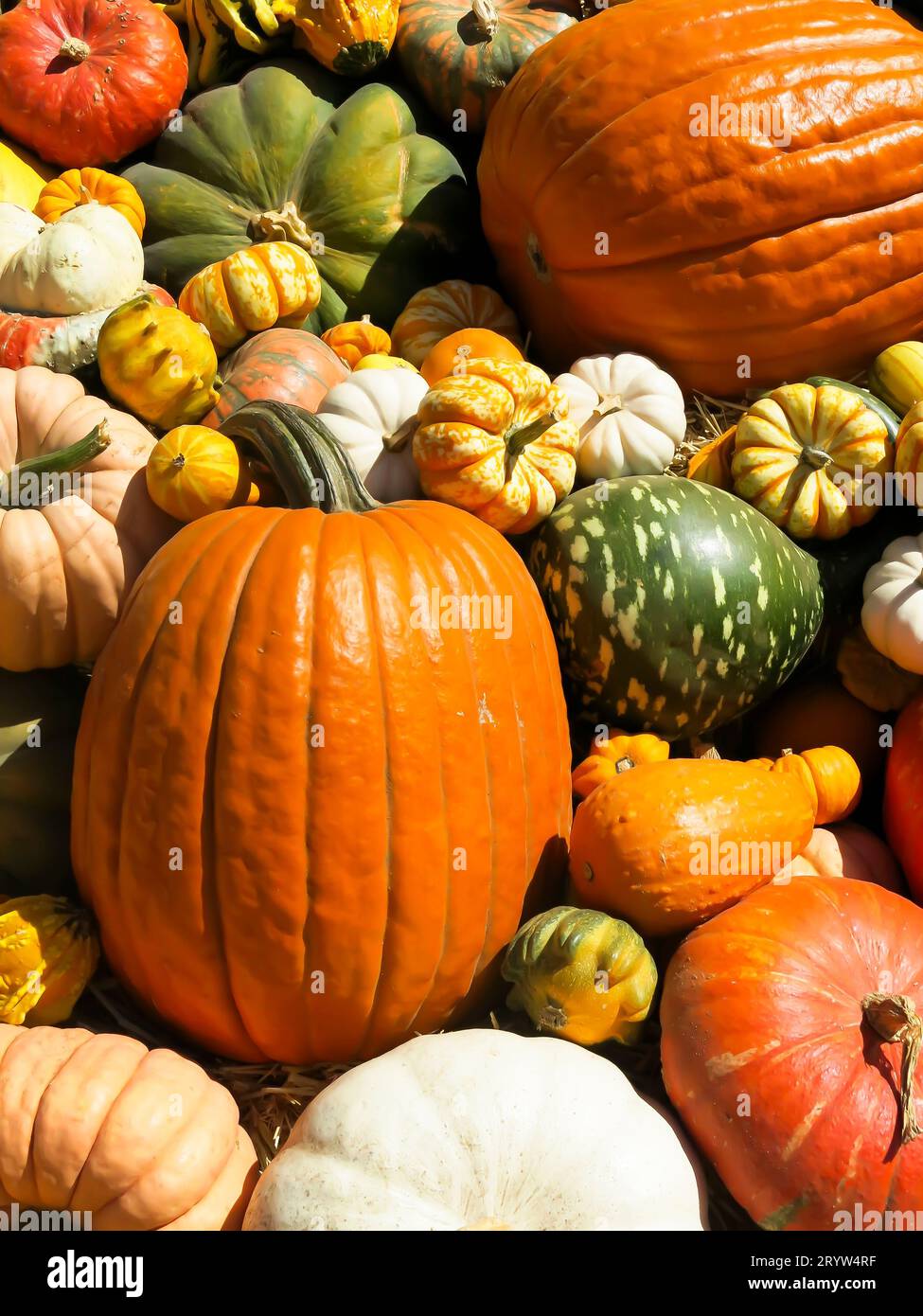Close up variety colors hi-res stock photography and images - Alamy