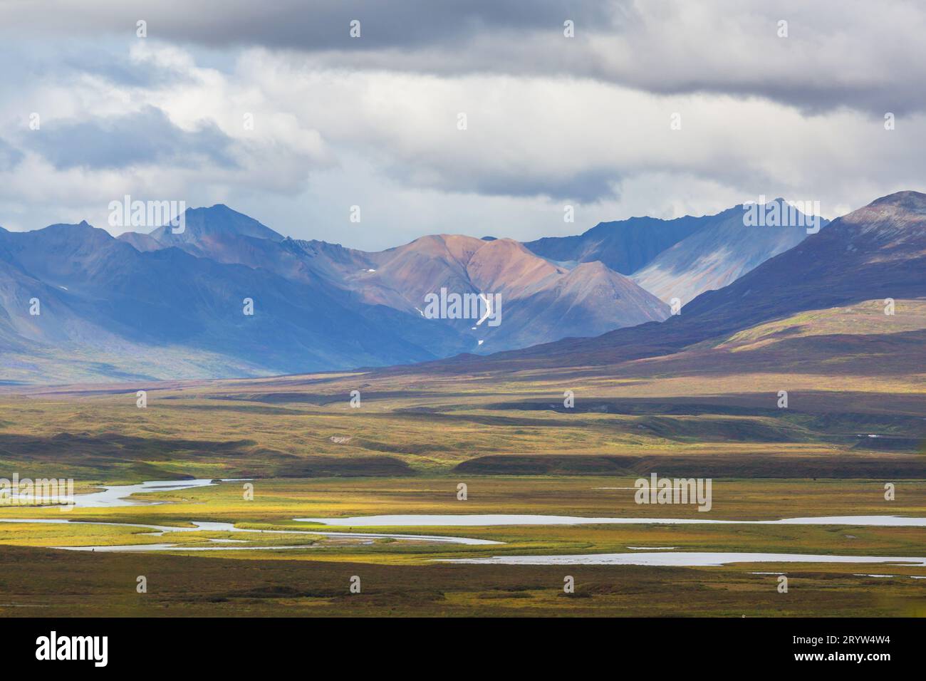 Hiking in the tundra zone in the polar region of Alaska Stock Photo - Alamy