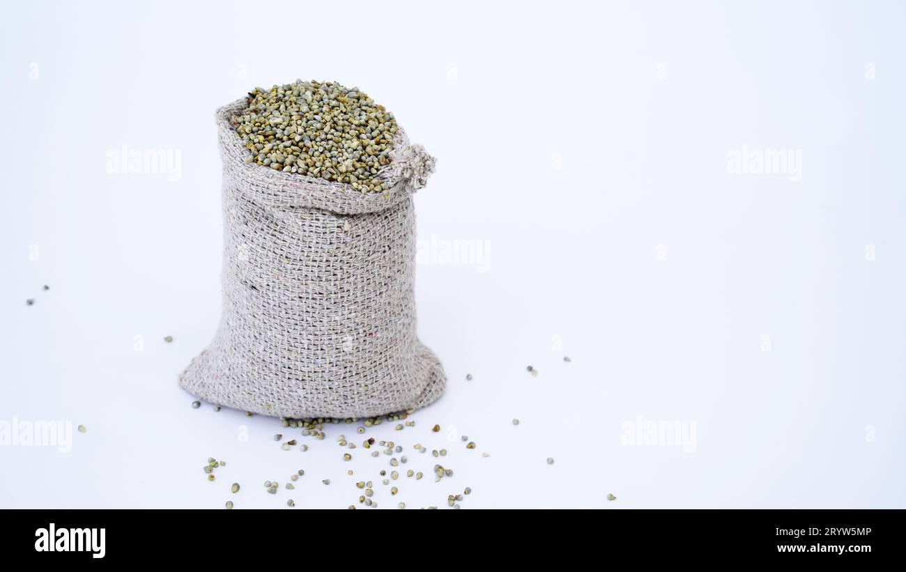 Pearl Millet Seeds Also Know as Bajra, Bajri, Bulrush Millet or Indian ...