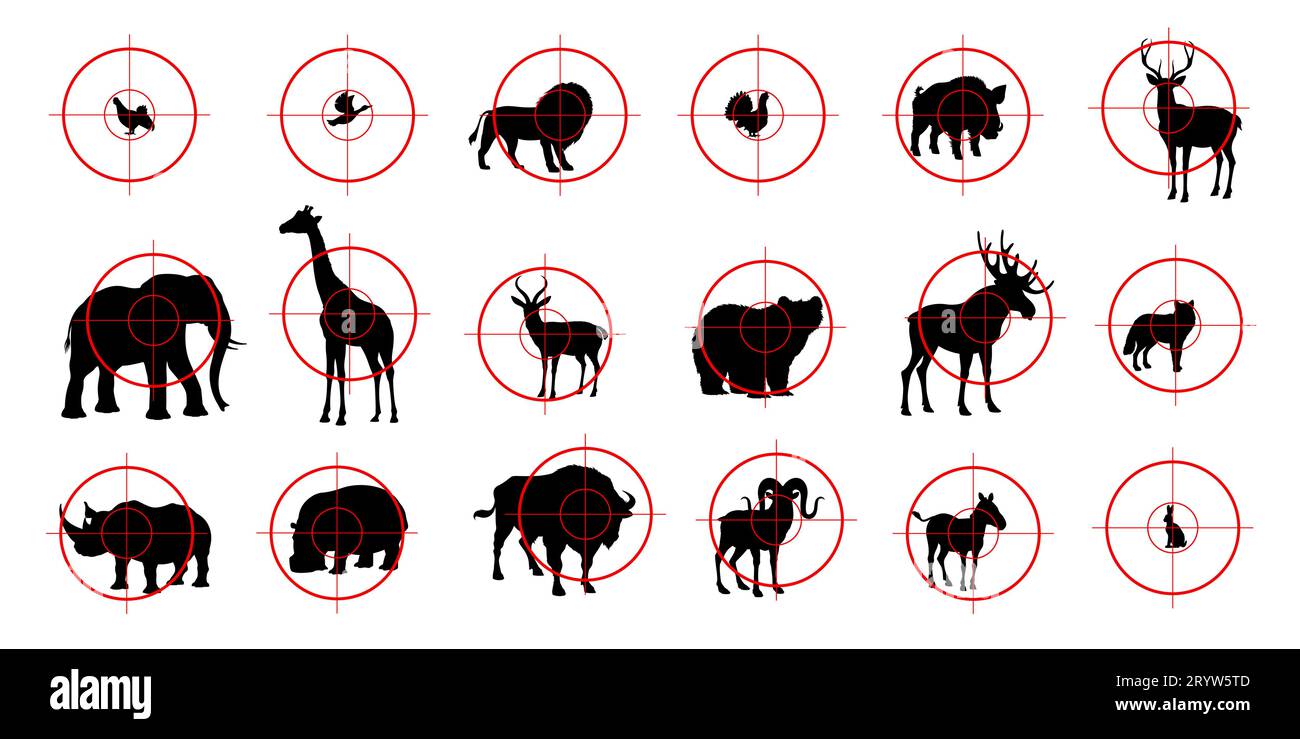 Hunting sport targets, animal silhouettes for hunt shooting range ...