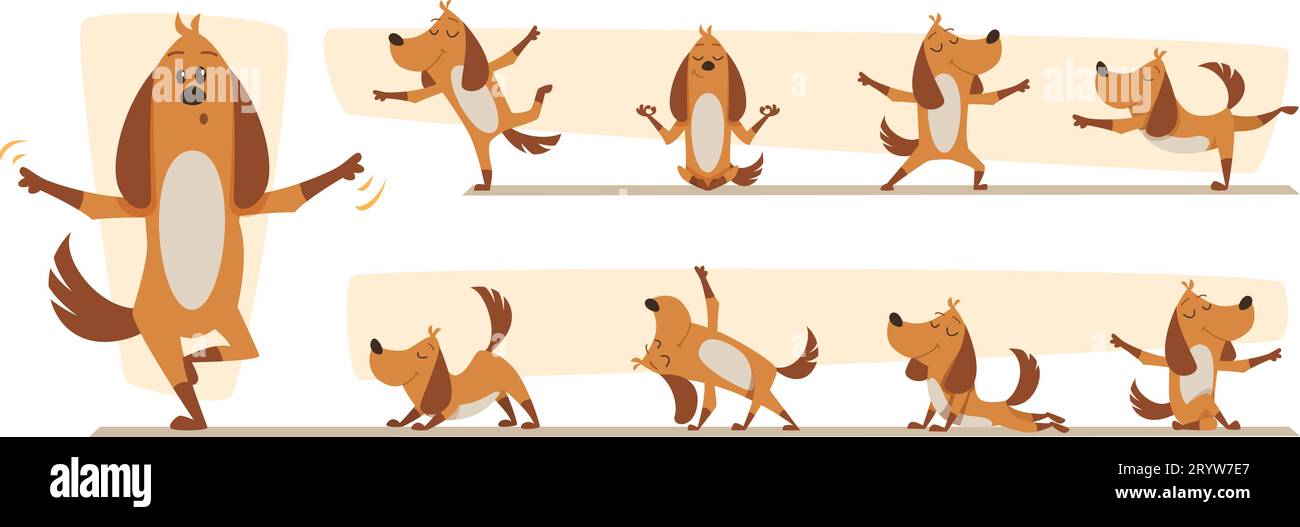 Sport animal. Happy dog in yoga poses exact vector fitness activity ...