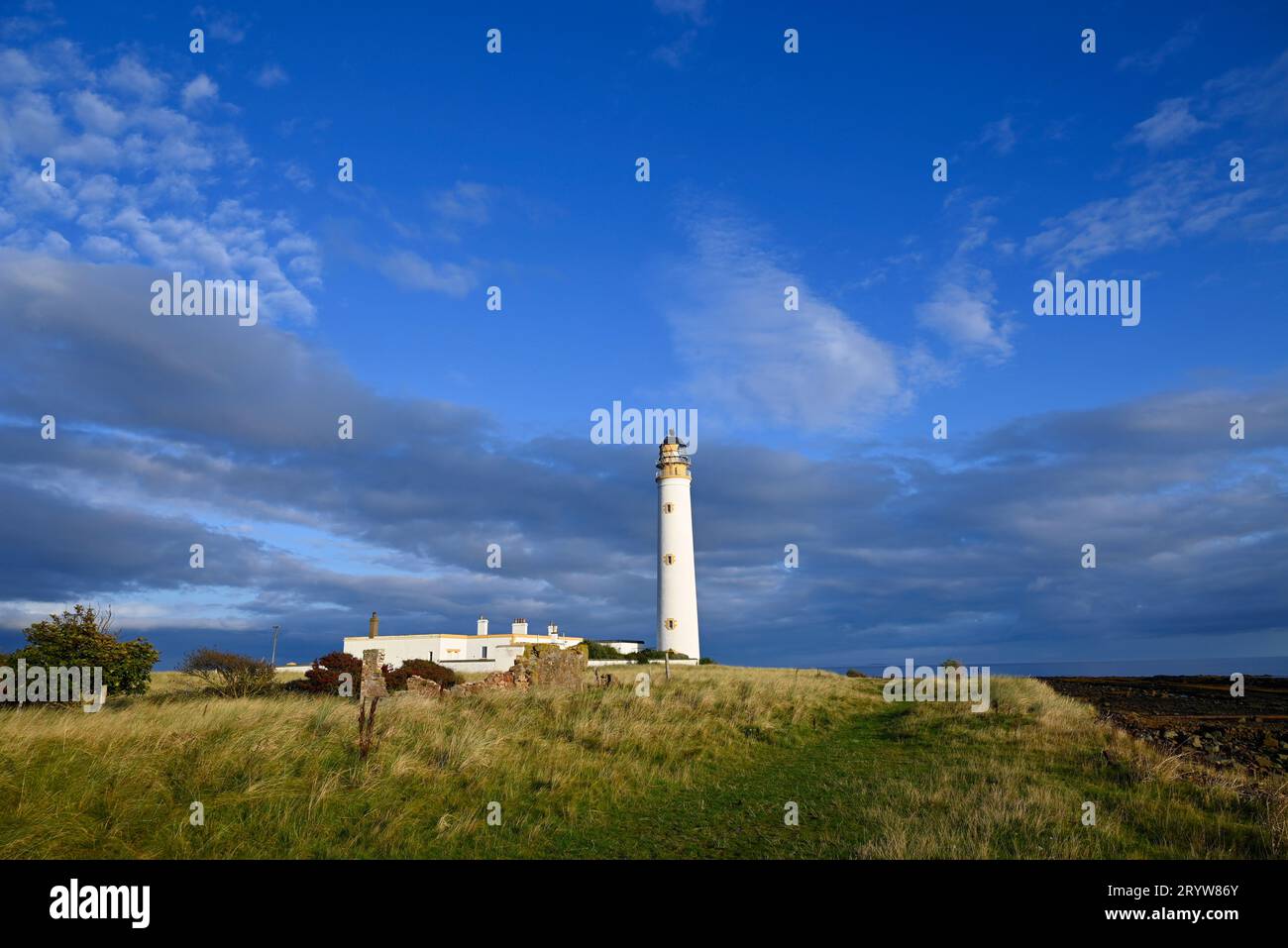 Barns Ness Lighthouse east Lothian Stock Photo - Alamy