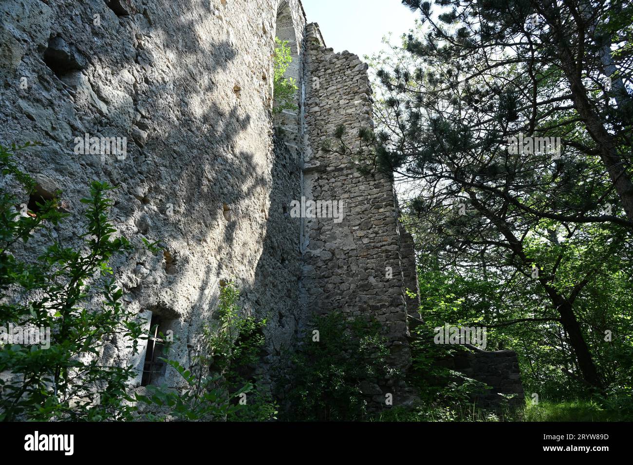 Church ruin Pankrazi near Alland, Austria Stock Photo - Alamy