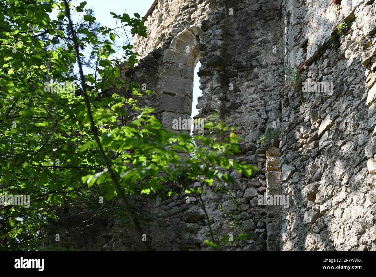 Church ruin Pankrazi near Alland, Austria Stock Photo - Alamy
