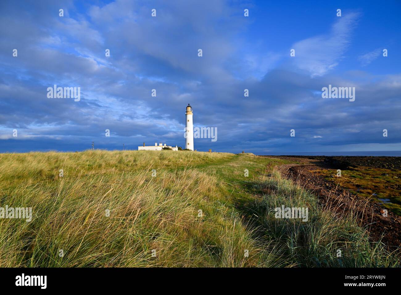 Barns Ness Lighthouse east Lothian Stock Photo - Alamy