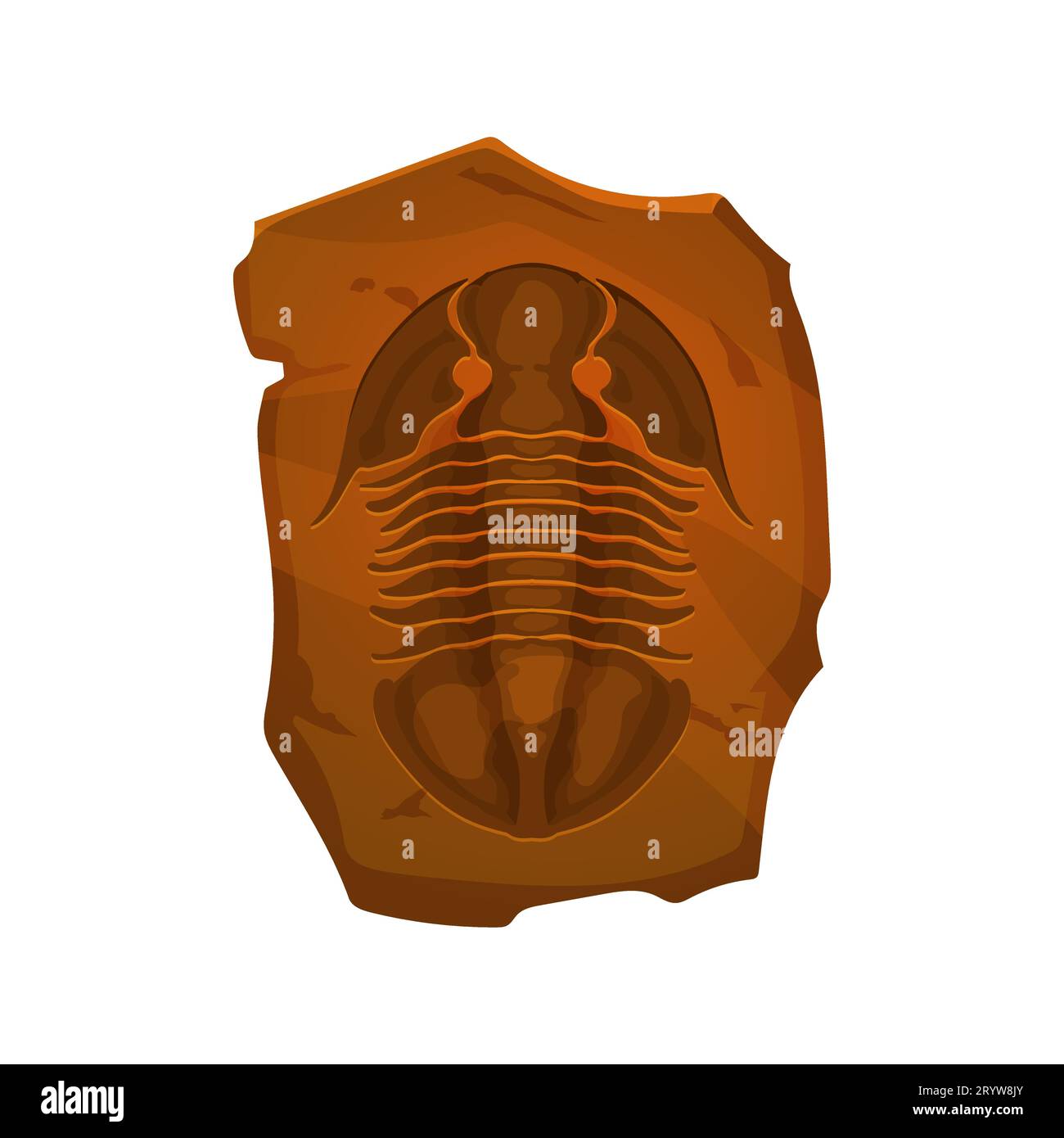 Ancient fossil, trilobite imprint in stone. Jurassic era animal bone ...