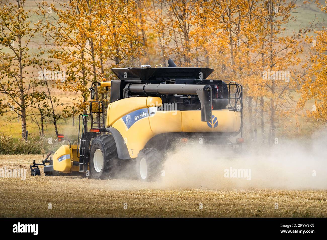 Cochrane Alberta Canada, September 29 2023: A New holland combine ...