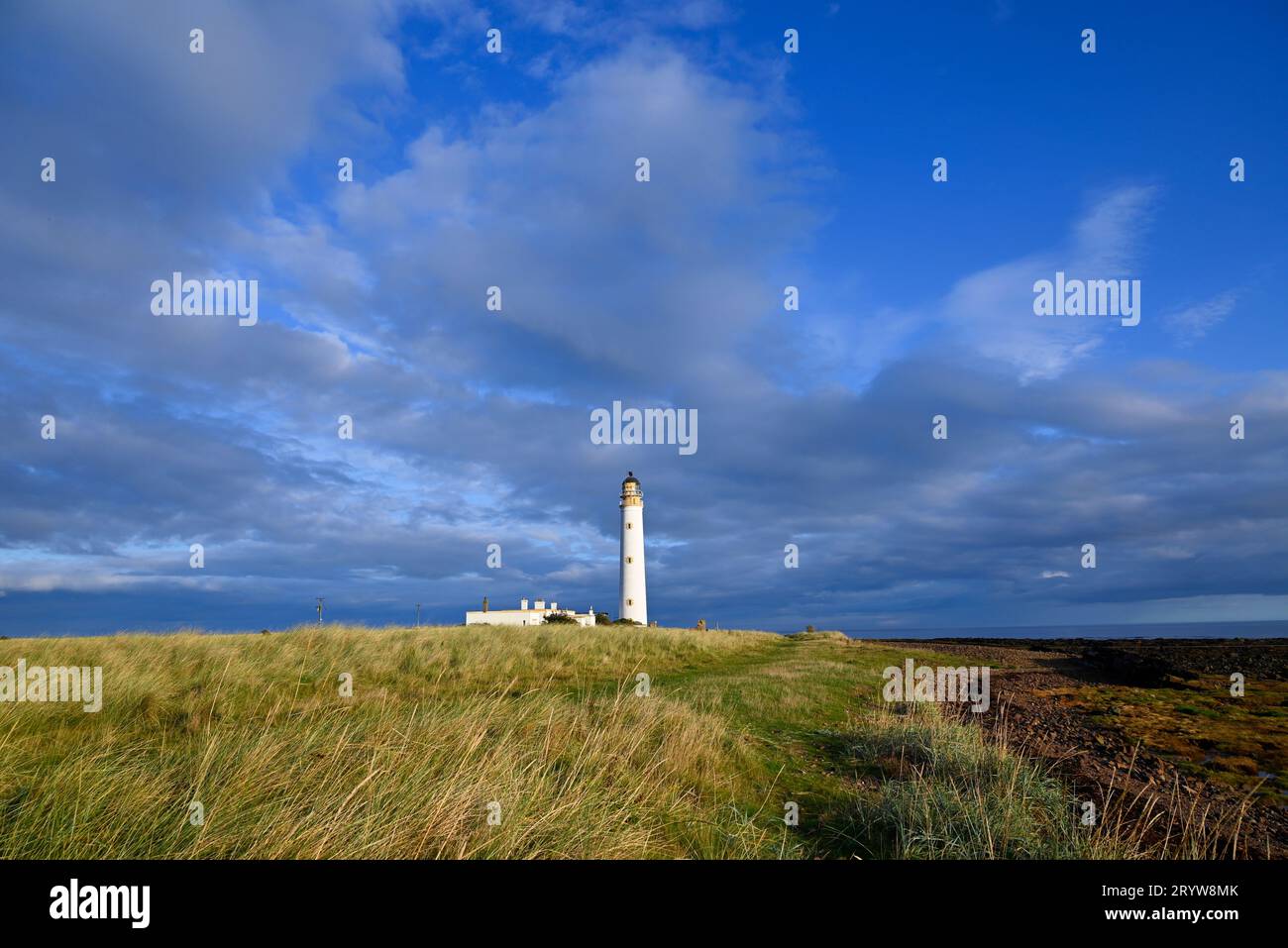 Barns Ness Lighthouse east Lothian Stock Photo - Alamy