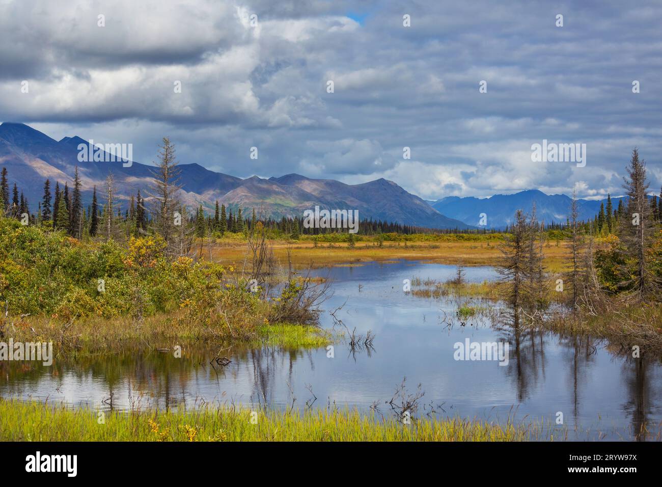 Hiking in the tundra zone in the polar region of Alaska Stock Photo - Alamy