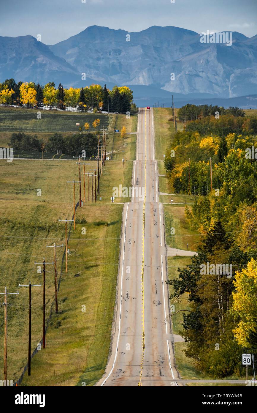 Rural road lined with telephone poles and autumn trees in fall colours ...