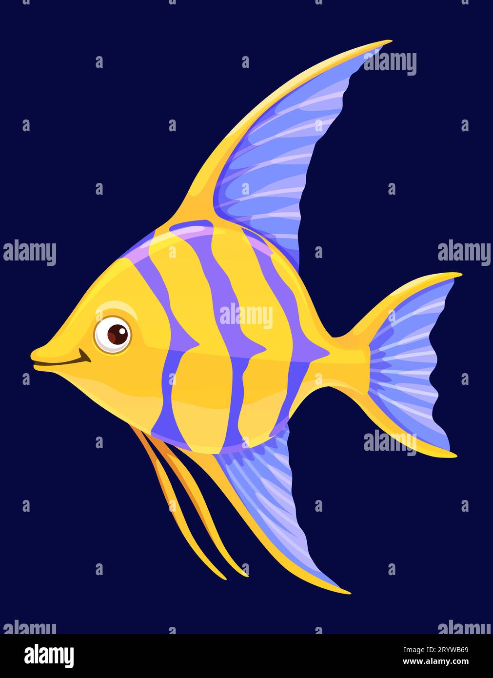 Angelfish cluster hi-res stock photography and images - Alamy