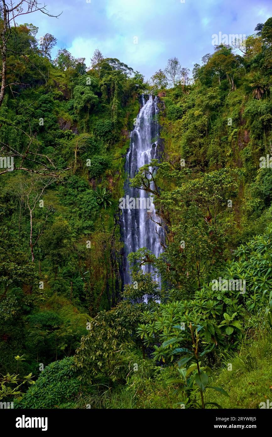 Tropical waterfall hi-res stock photography and images - Alamy
